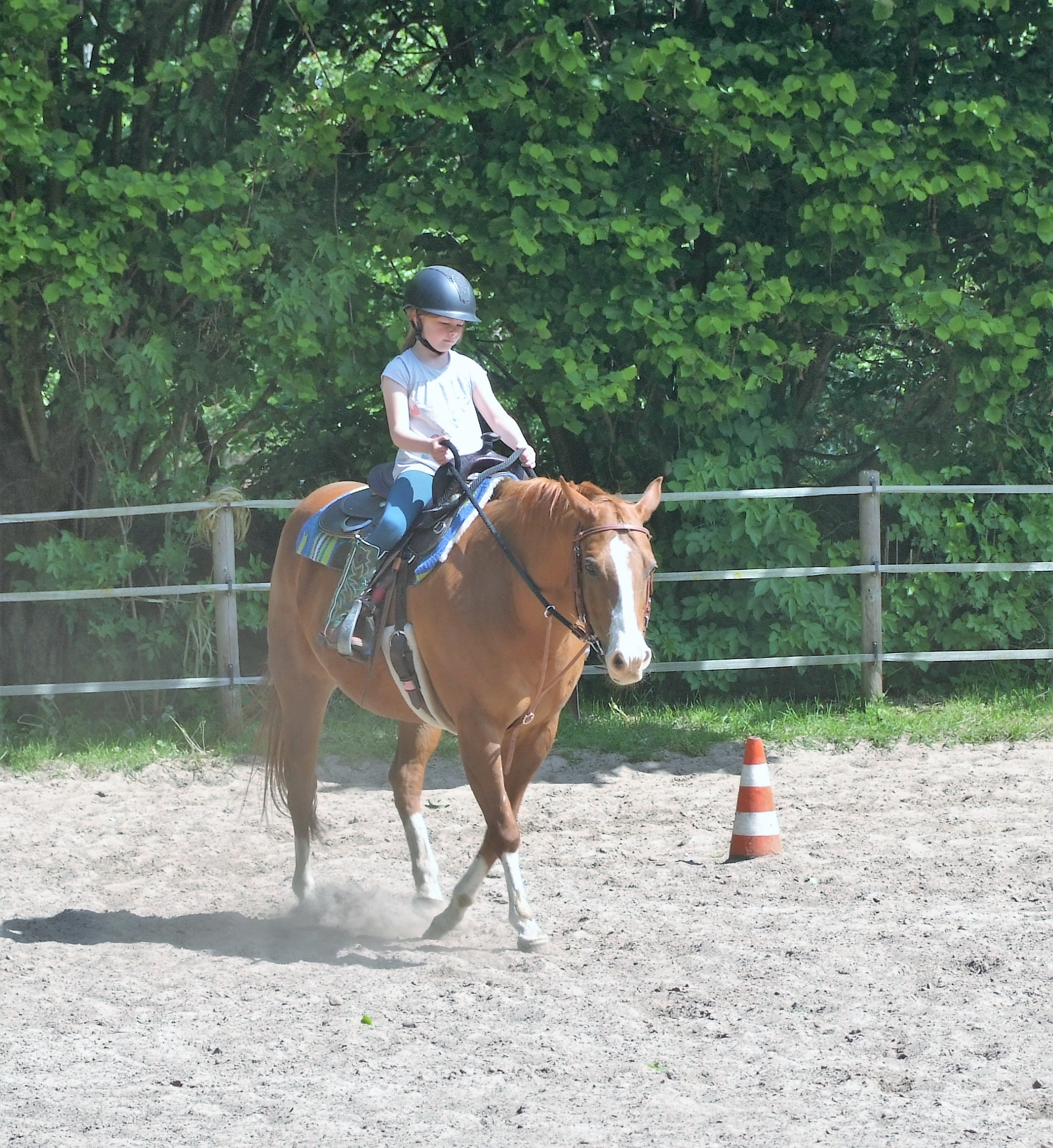 Kurse & Veranstaltungen & Fotos