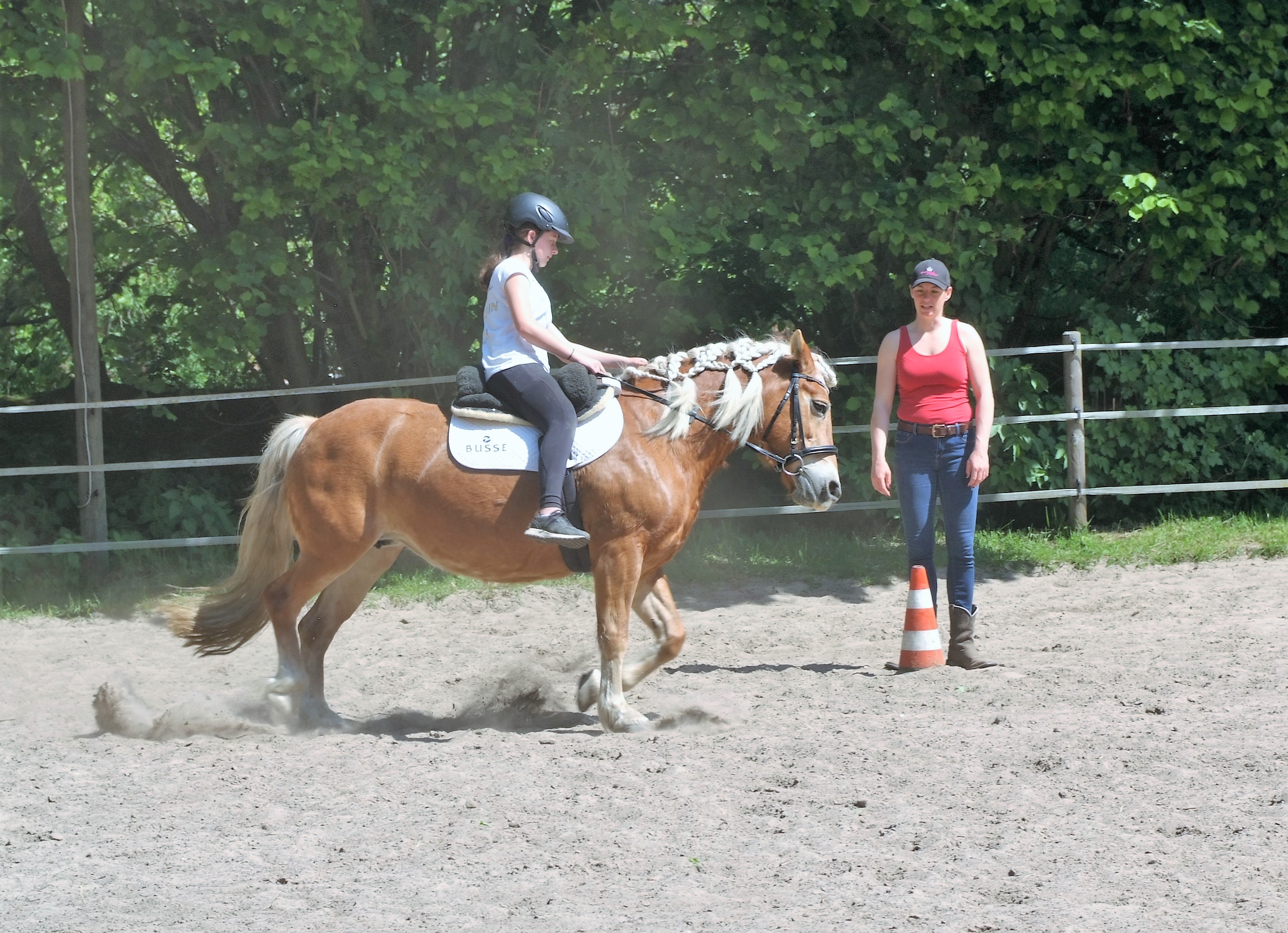 Kurse & Veranstaltungen & Fotos